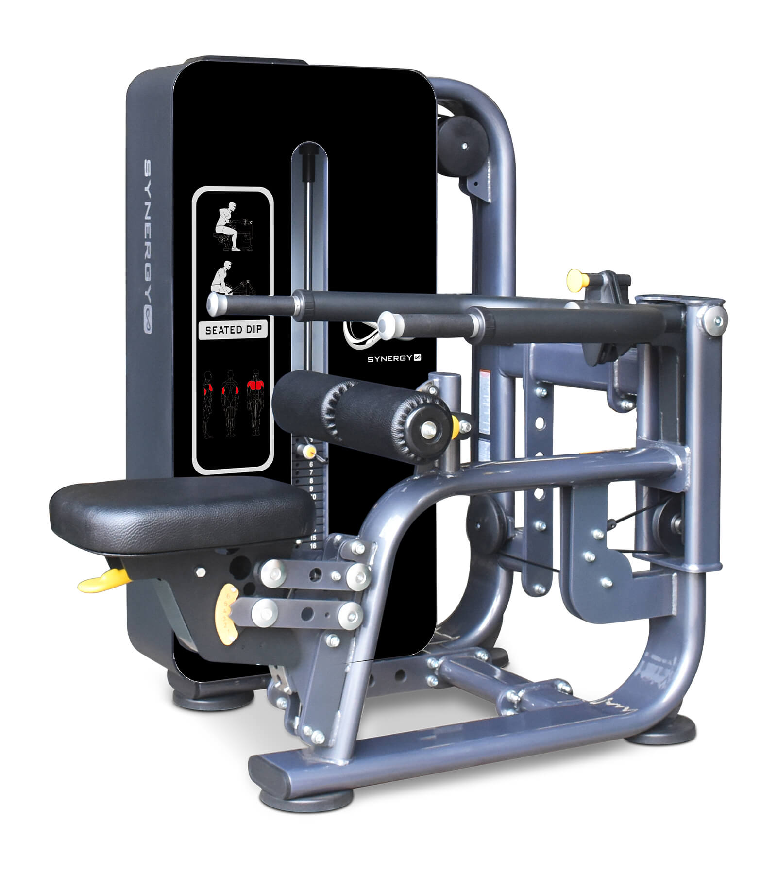 Seated Dip | Infinity